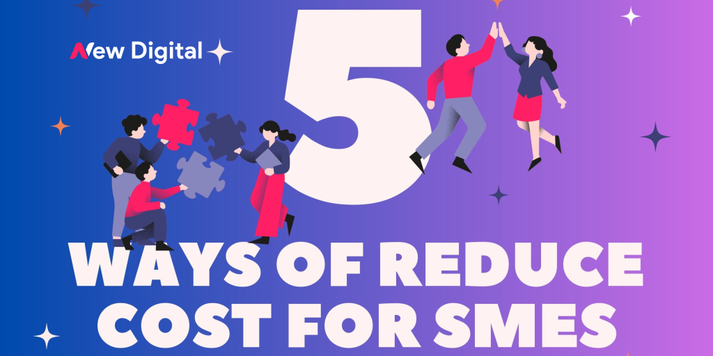 5 Ways Of Reduce Cost of SMEs - New Digital Tech Agency